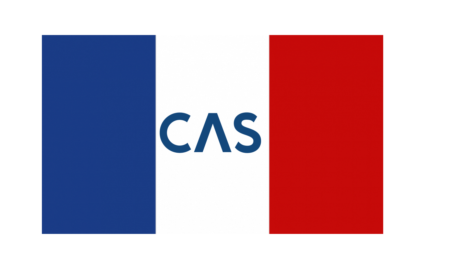 CAS Integrates with French Customs