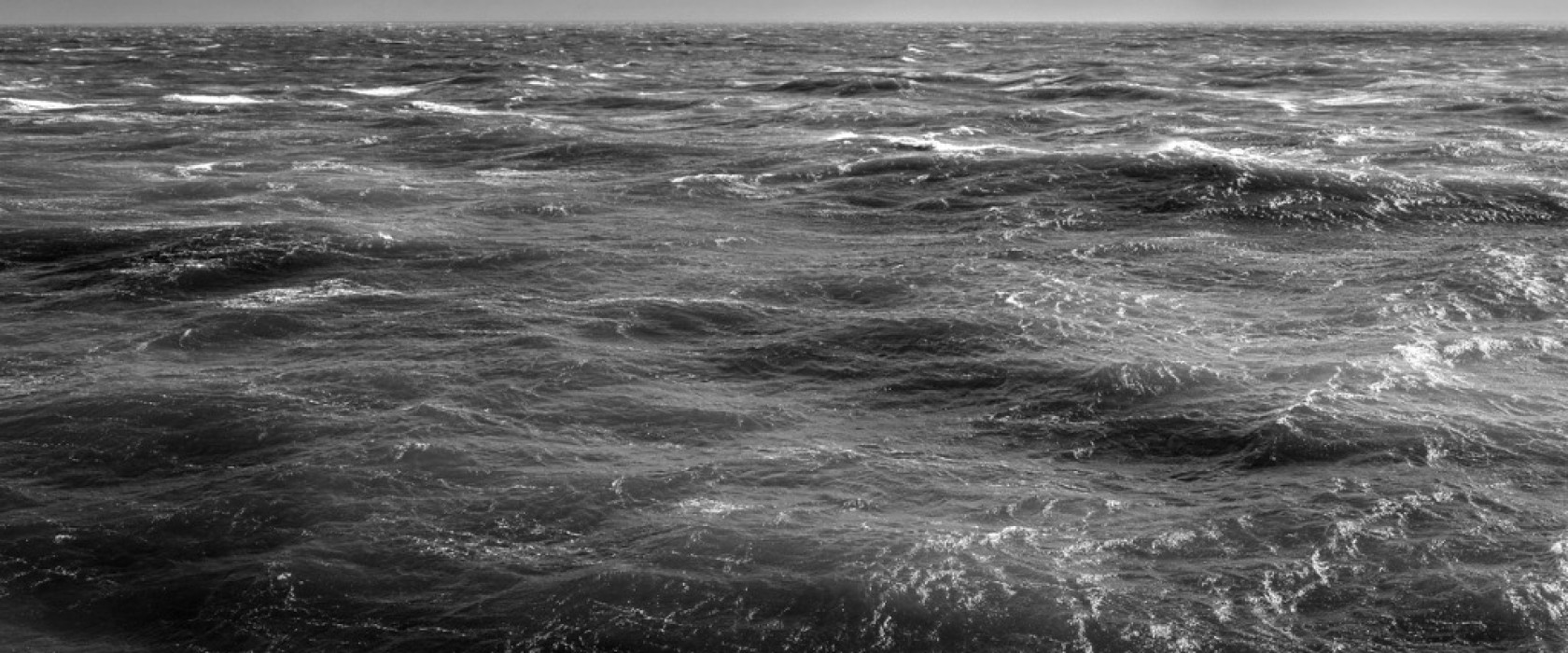 Customs4trade | Home