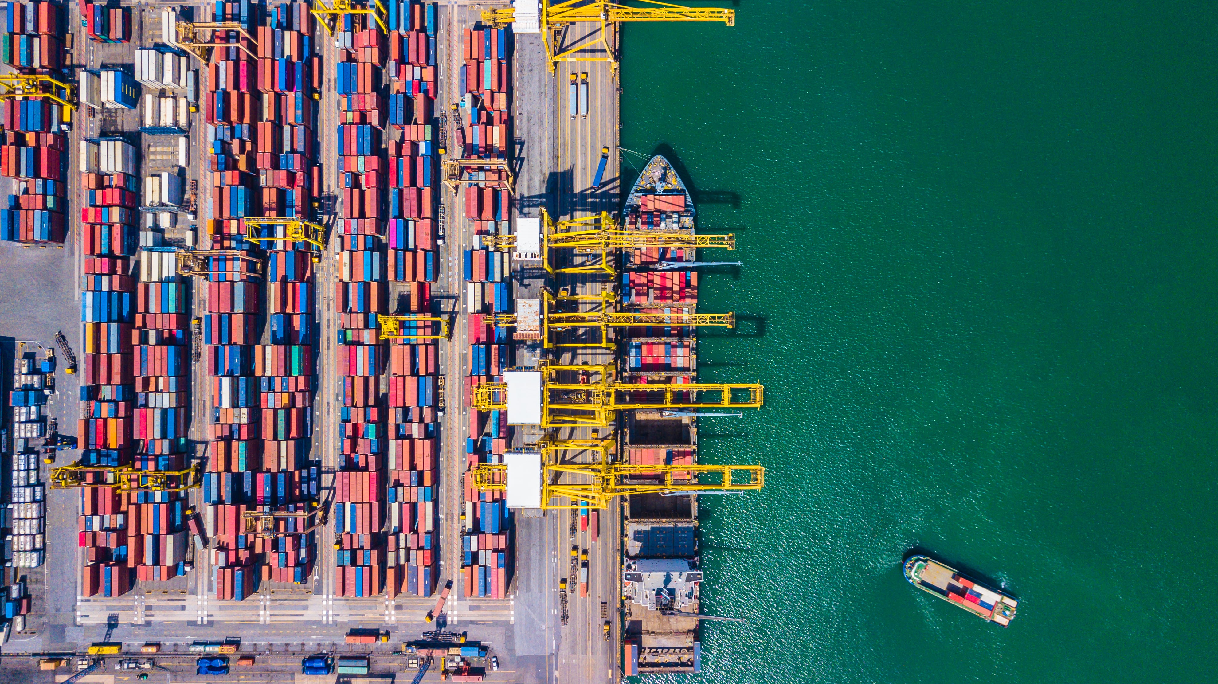 What Are Type D Declarations | Blog | Customs4trade